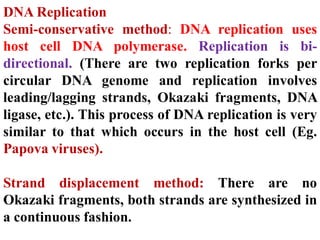 Replication-of-Viruses and its life cycle | PDF