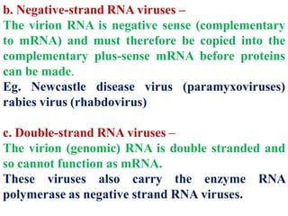 Replication-of-Viruses and its life cycle | PDF