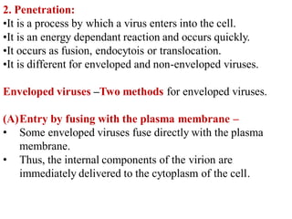 Replication-of-Viruses and its life cycle | PDF