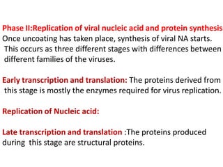 Replication-of-Virus.life cycle of virus | PDF