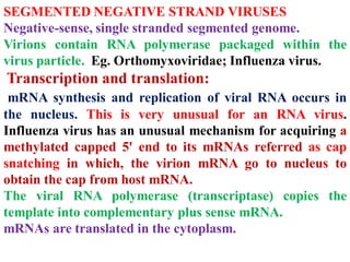 Replication-of-Virus.life cycle of virus | PDF