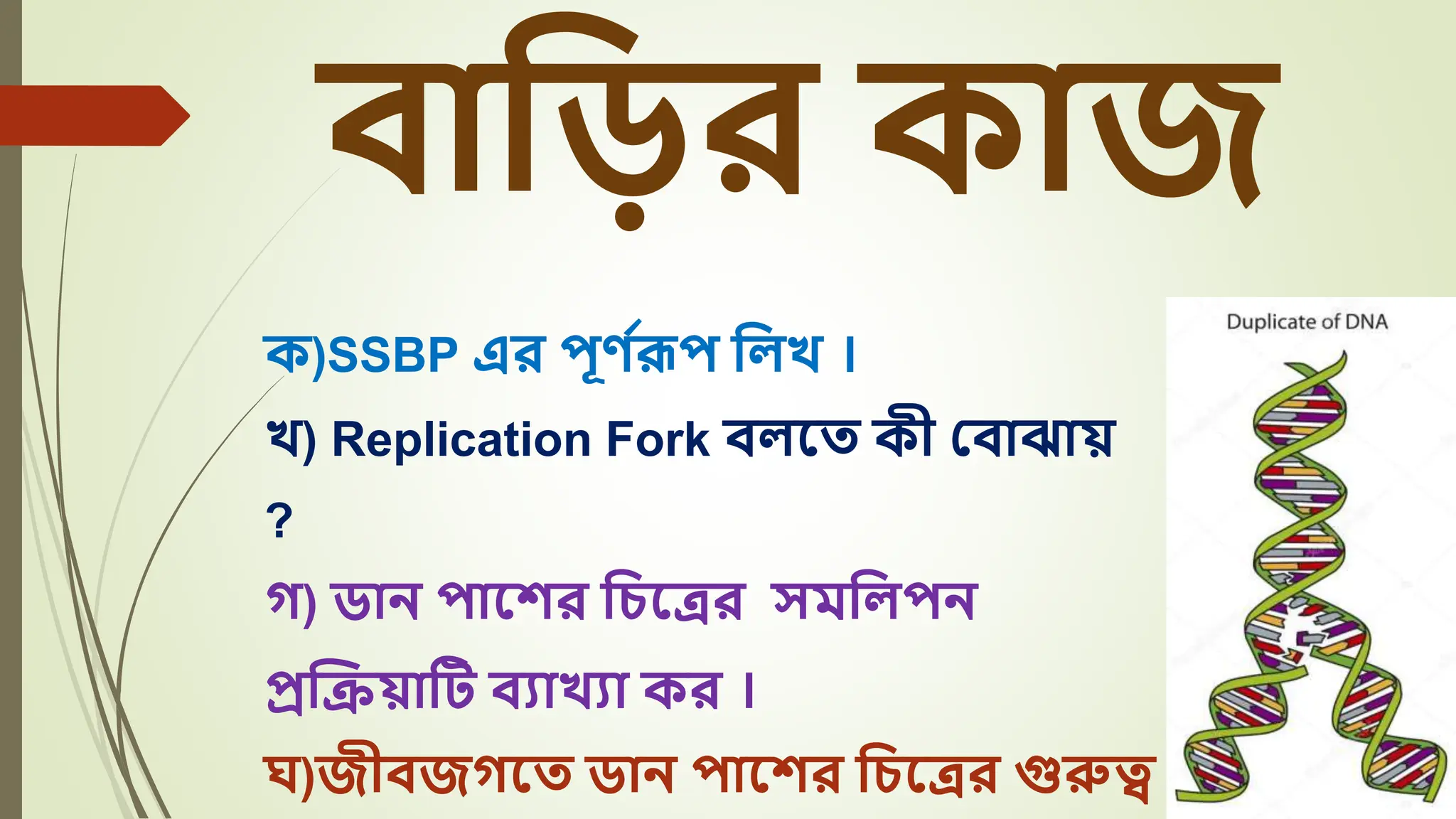 Dna Replication Process In Details Ppt Format Pptx