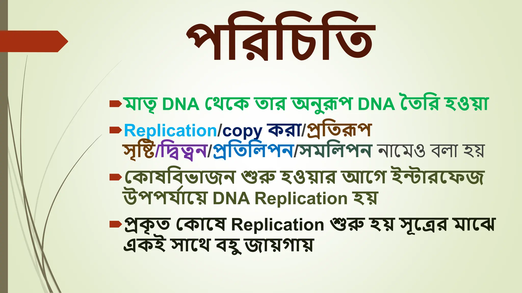 DNA replication process in details ppt format | PPT