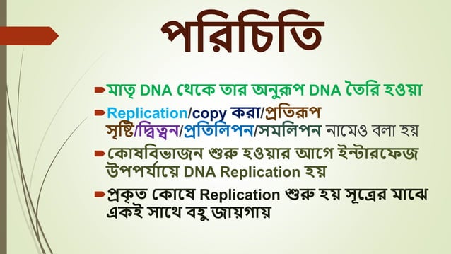 DNA replication process in details ppt format | PPTX