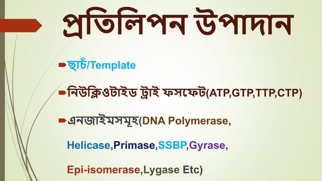 DNA replication process in details ppt format | PPT