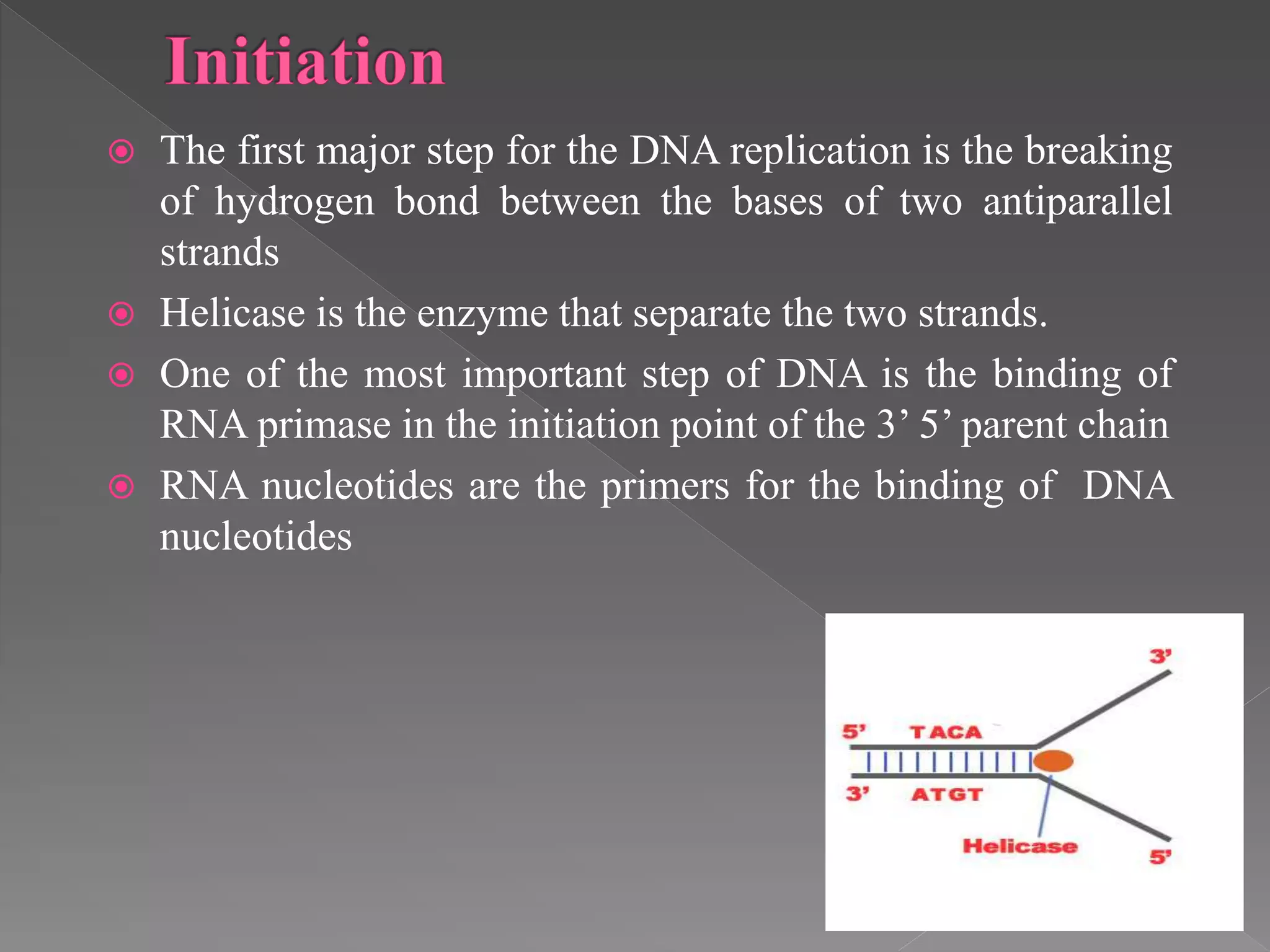 DNA Replication | PPTX