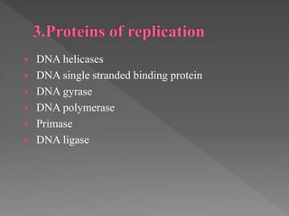 DNA Replication | PPTX