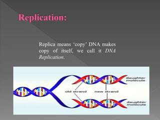 DNA Replication | PPTX