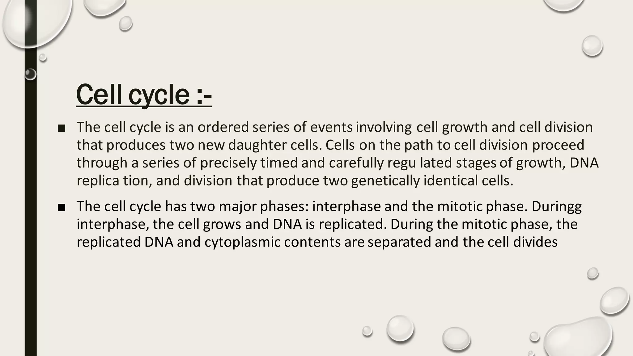 replication and cell cycle | PDF