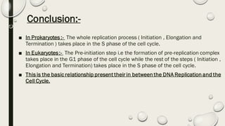 replication and cell cycle | PDF