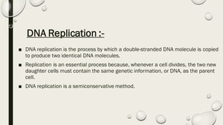 replication and cell cycle | PDF