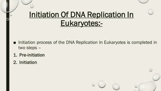replication and cell cycle | PDF