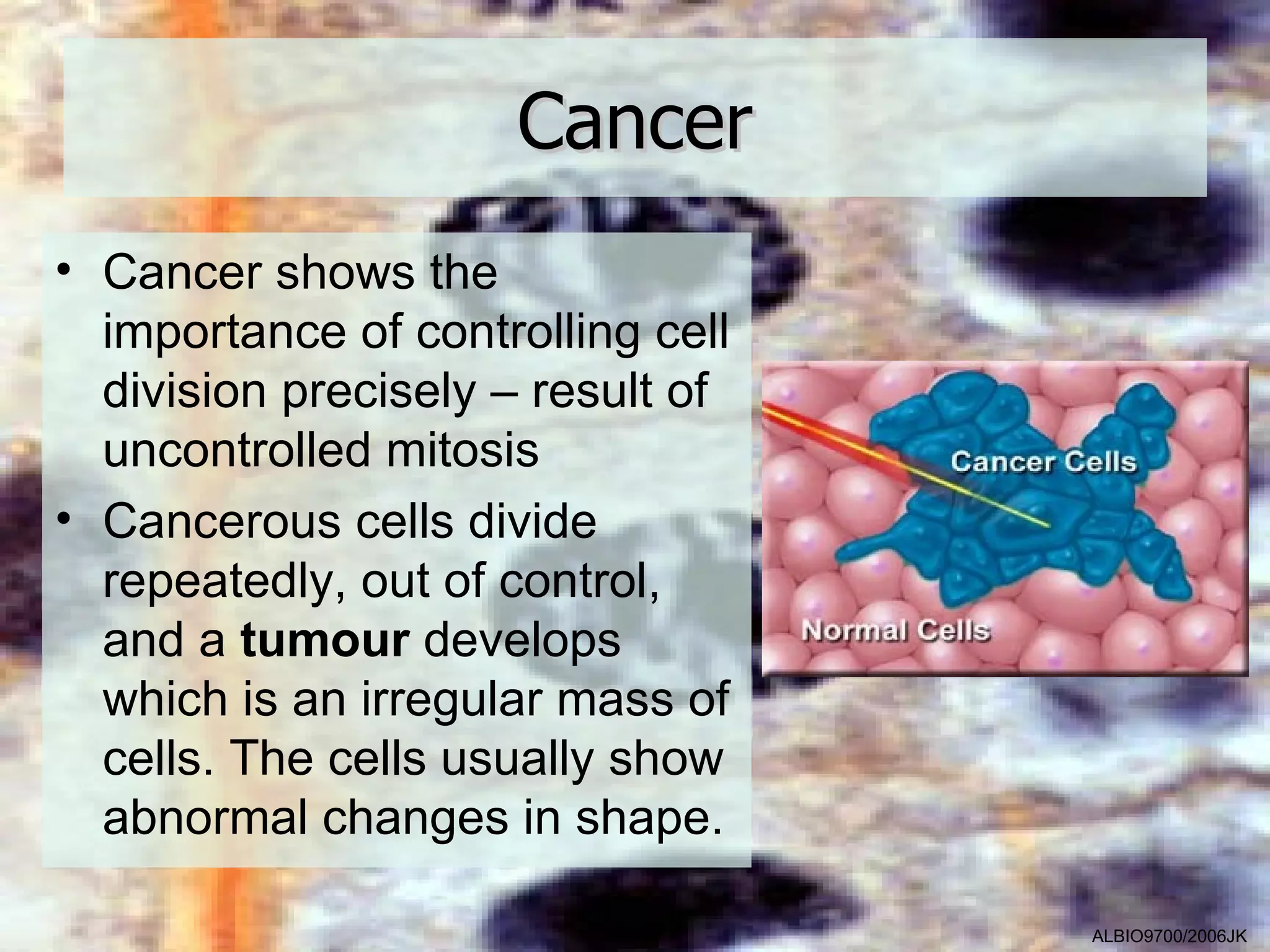 01 Replication and Division of Nuclei and Cells | PPT | Cancer ...