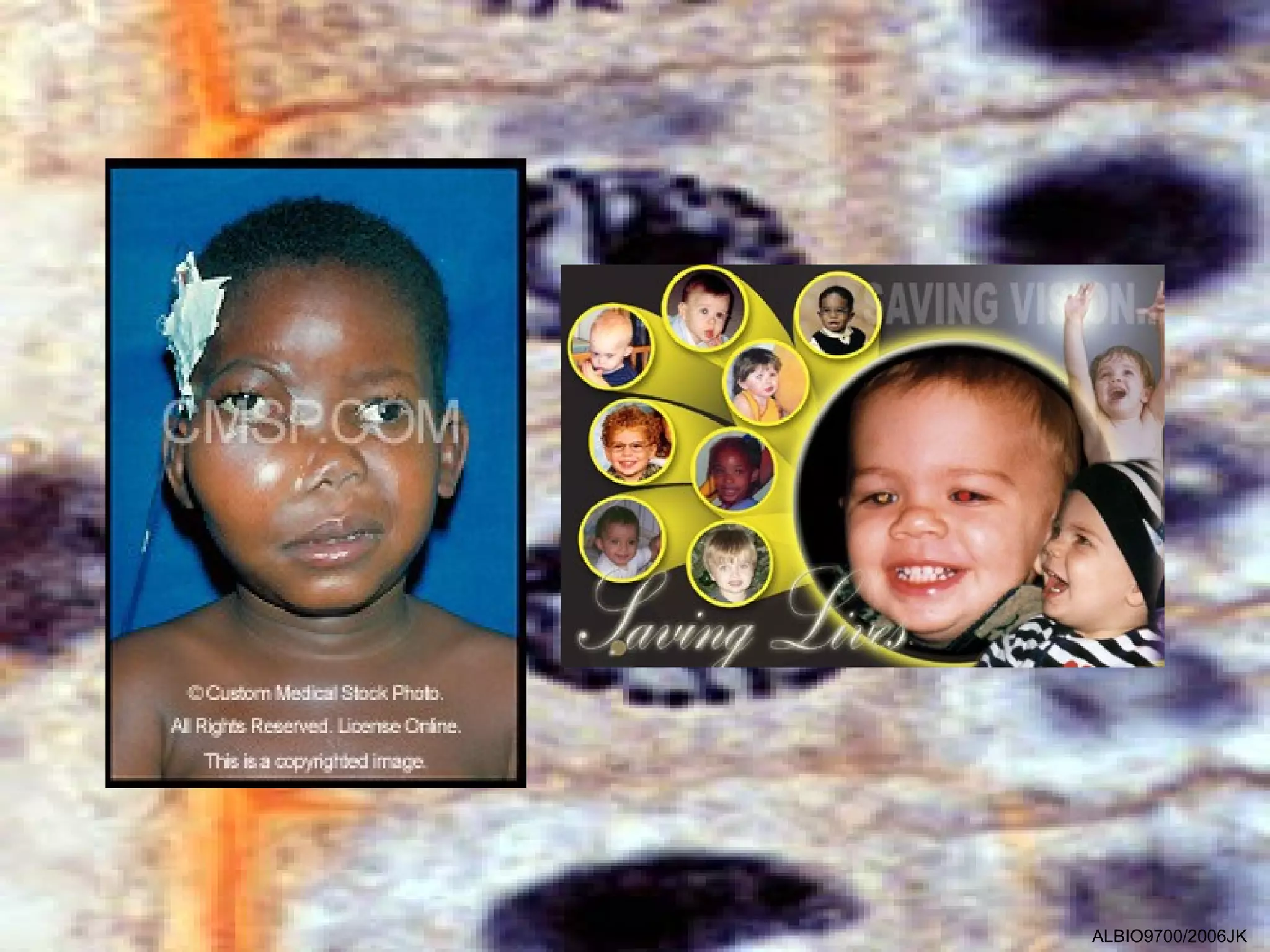 01 Replication and Division of Nuclei and Cells | PPT | Cancer ...