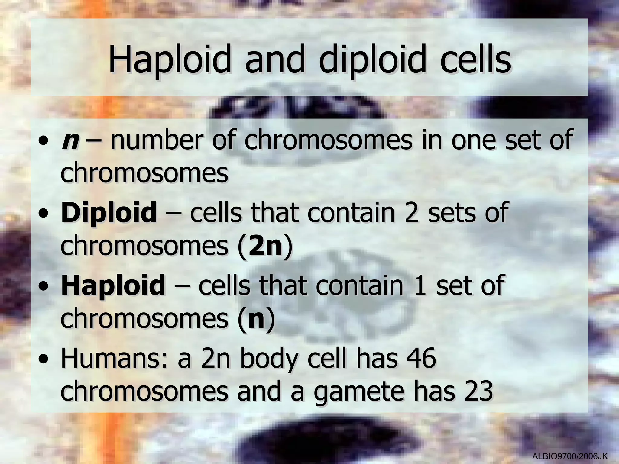 01 Replication and Division of Nuclei and Cells | PPT | Cancer ...