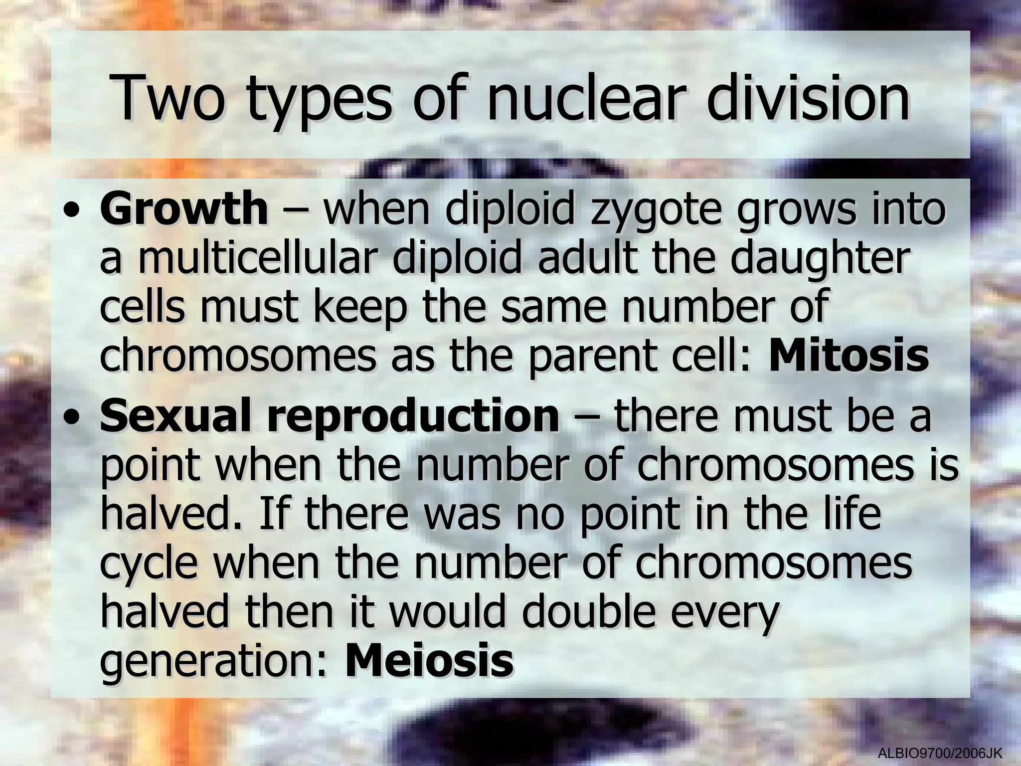 01 Replication and Division of Nuclei and Cells | PPT | Cancer ...