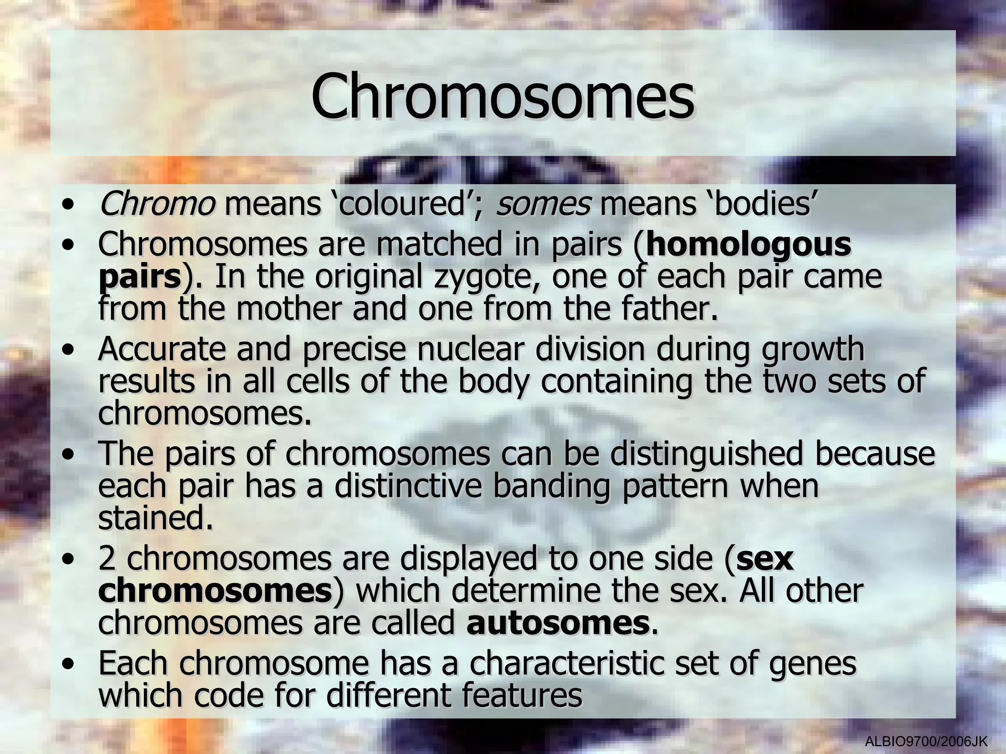 01 Replication and Division of Nuclei and Cells | PPT | Cancer ...