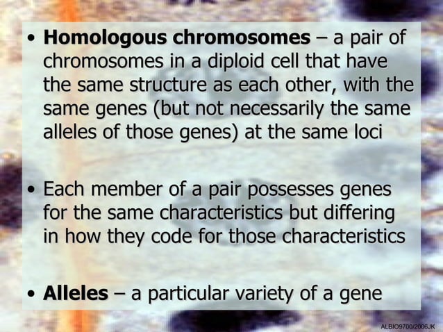 01 Replication and Division of Nuclei and Cells | PPT | Cancer ...