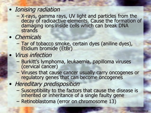 01 Replication and Division of Nuclei and Cells | PPT | Cancer ...