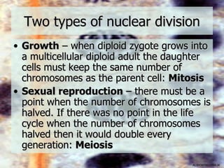 01 Replication and Division of Nuclei and Cells | PPT