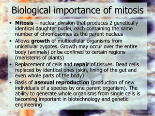 01 Replication and Division of Nuclei and Cells | PPT | Cancer ...