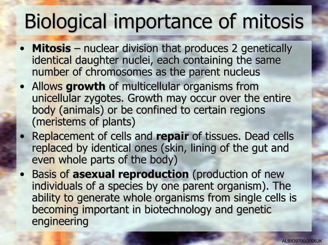 01 Replication and Division of Nuclei and Cells | PPT | Cancer ...