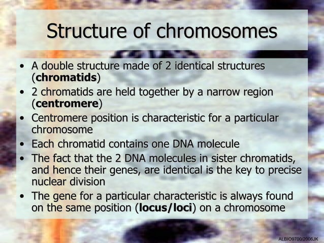 01 Replication and Division of Nuclei and Cells | PPT | Cancer ...