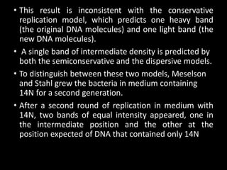 replication and transcription of DNA.pptx