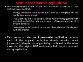 replication and transcription of DNA.pptx