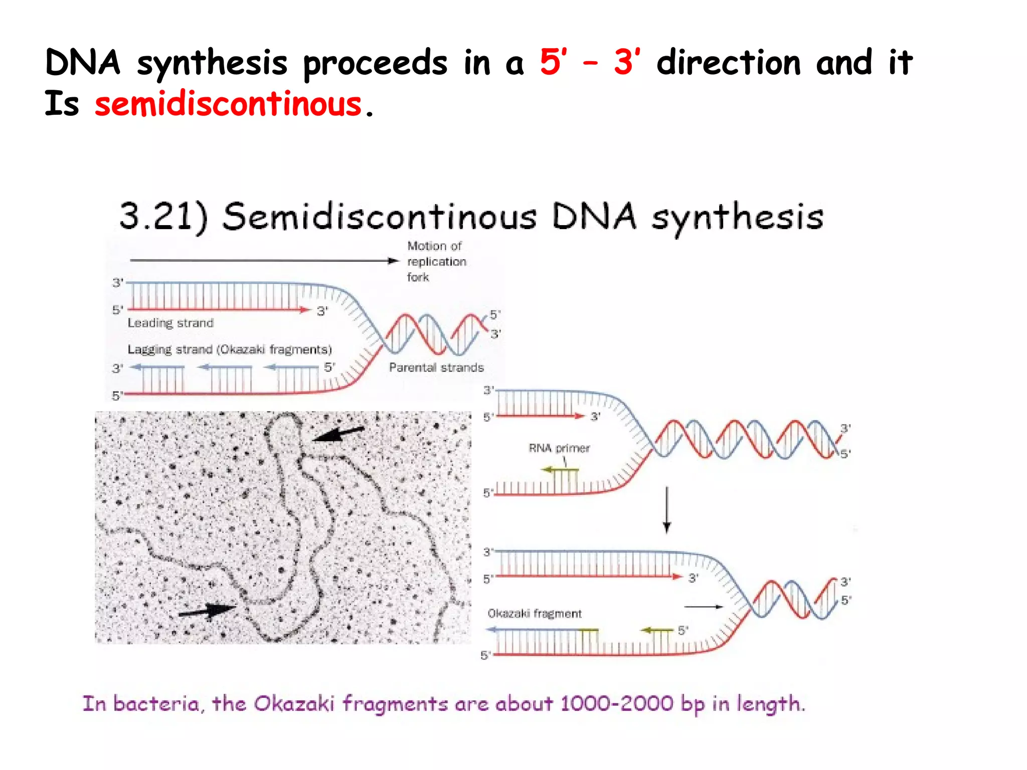 Replication class final.ppt | PPT