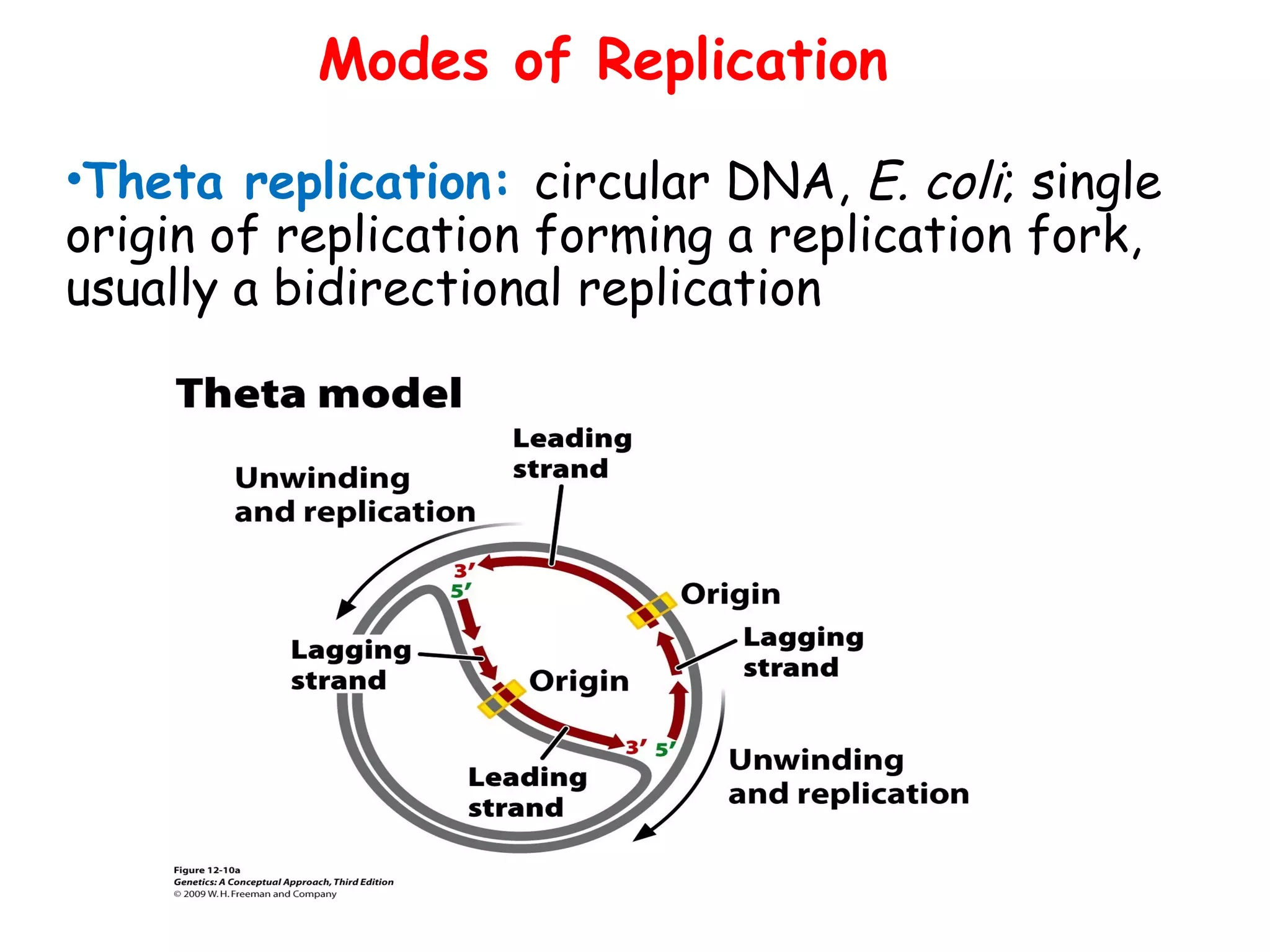 Replication class final.ppt | PPT