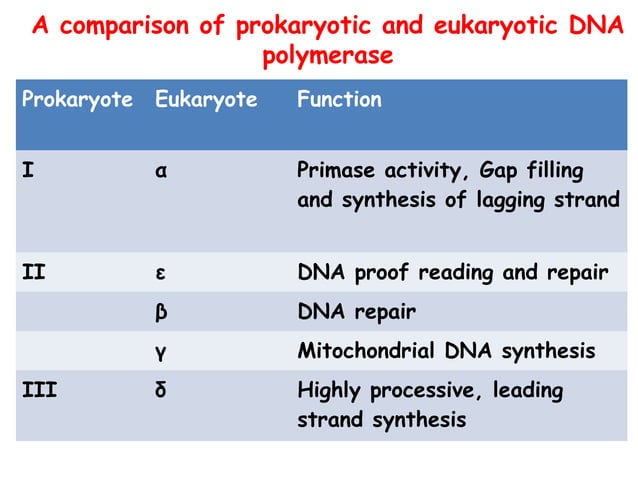 Replication class final.ppt | PPT