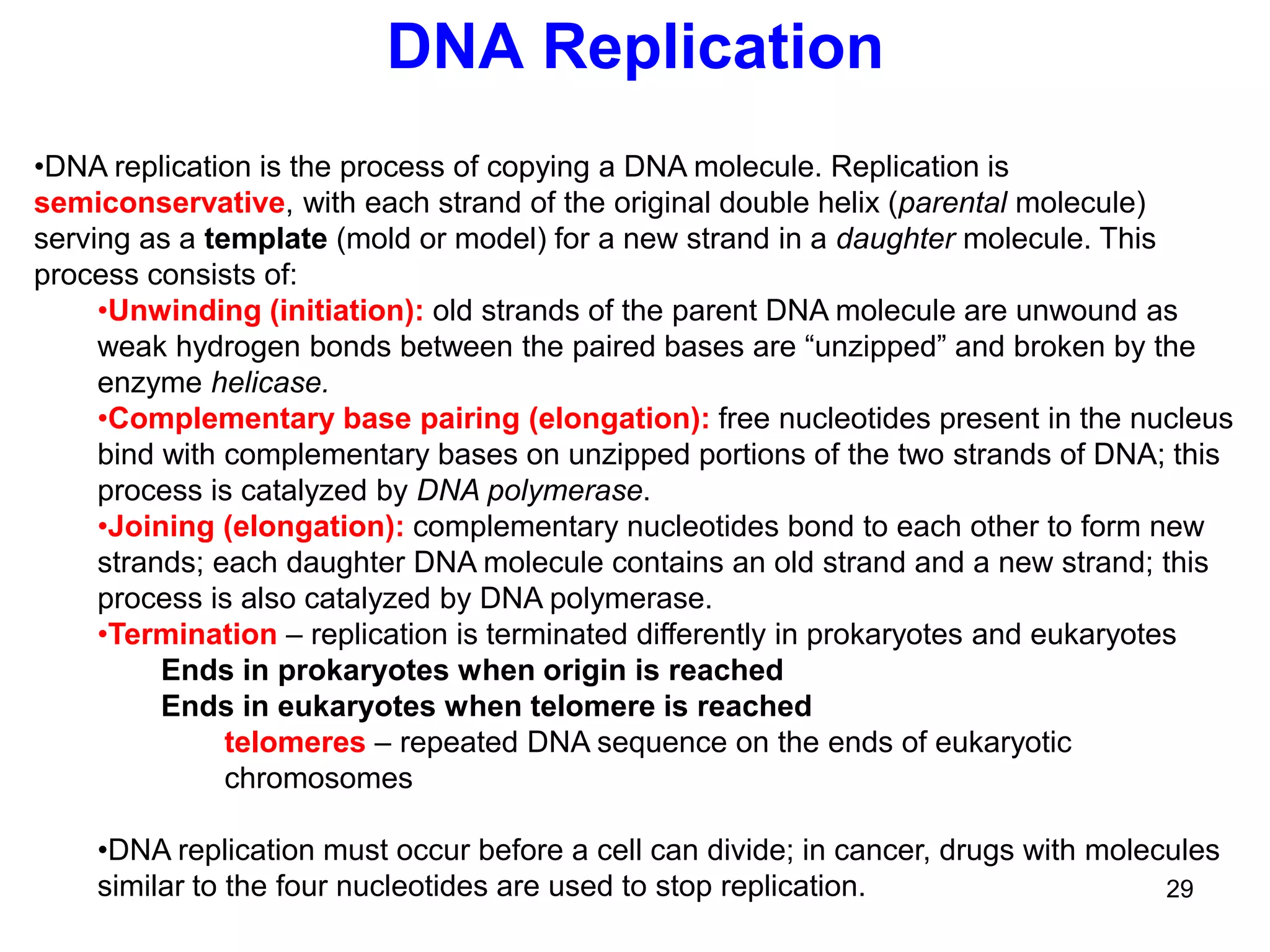 replicationfinal.ppt
