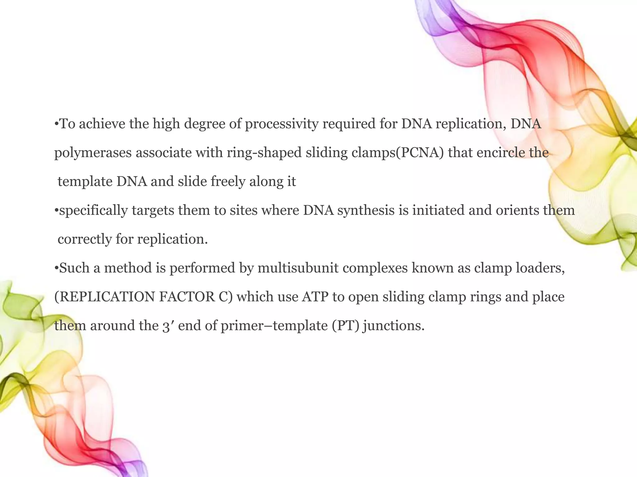 Replication fork final | PPTX