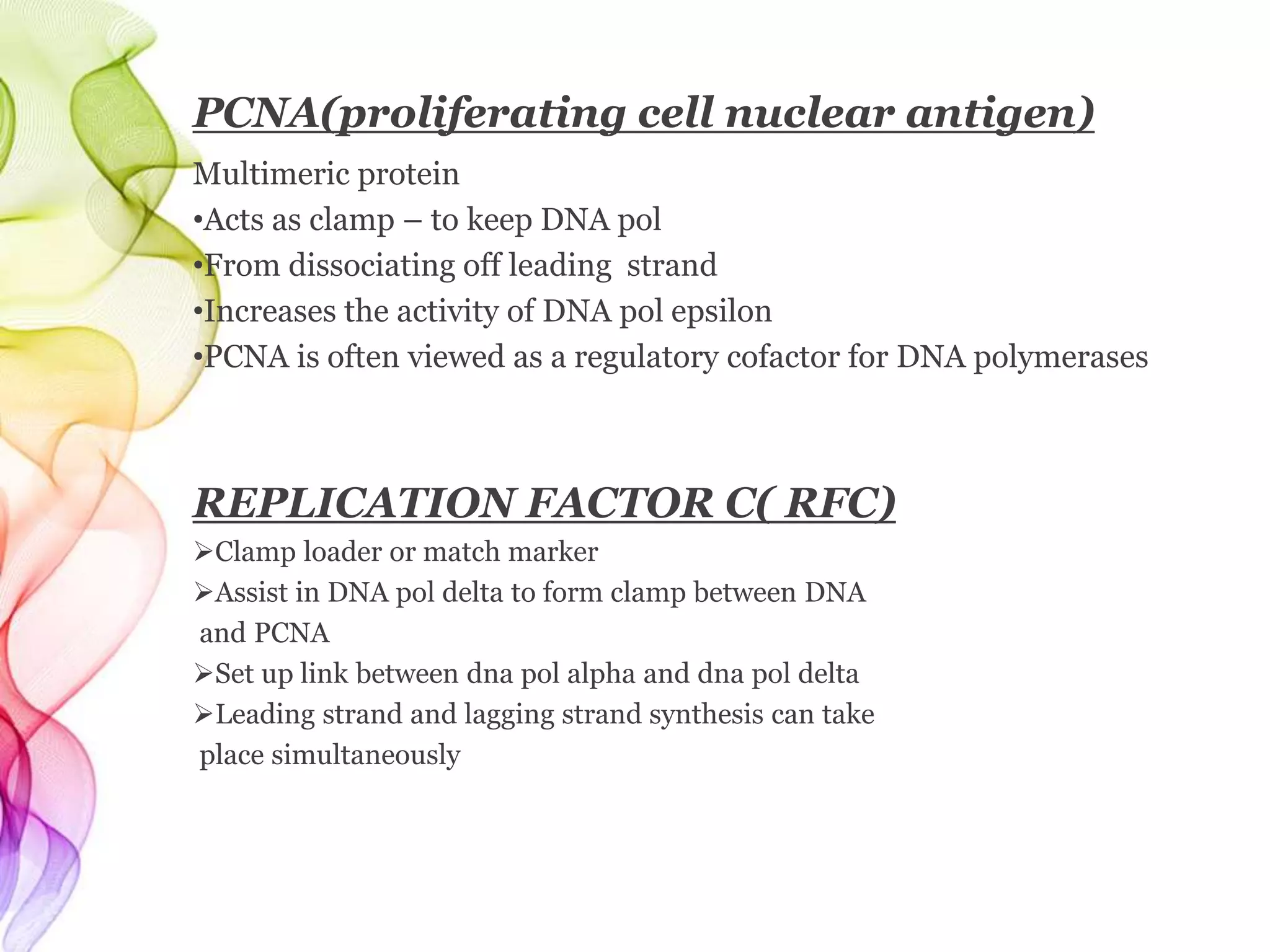 Replication fork final | PPTX