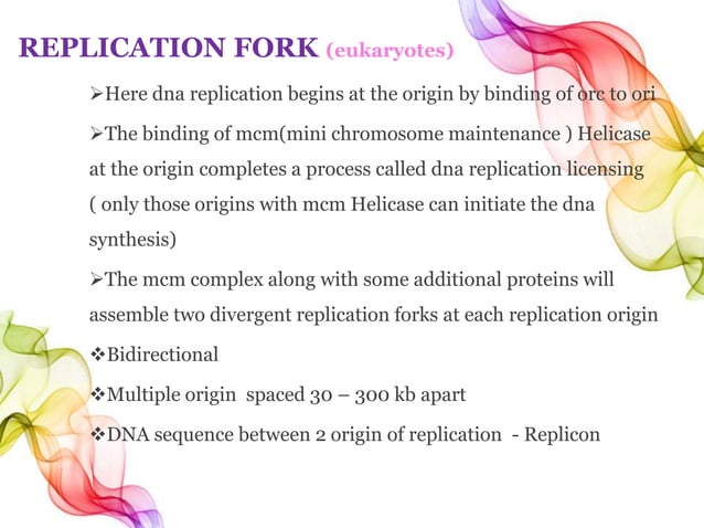 Replication fork final | PPTX