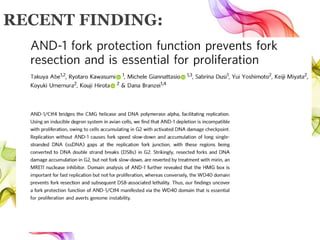 Replication fork final | PPTX