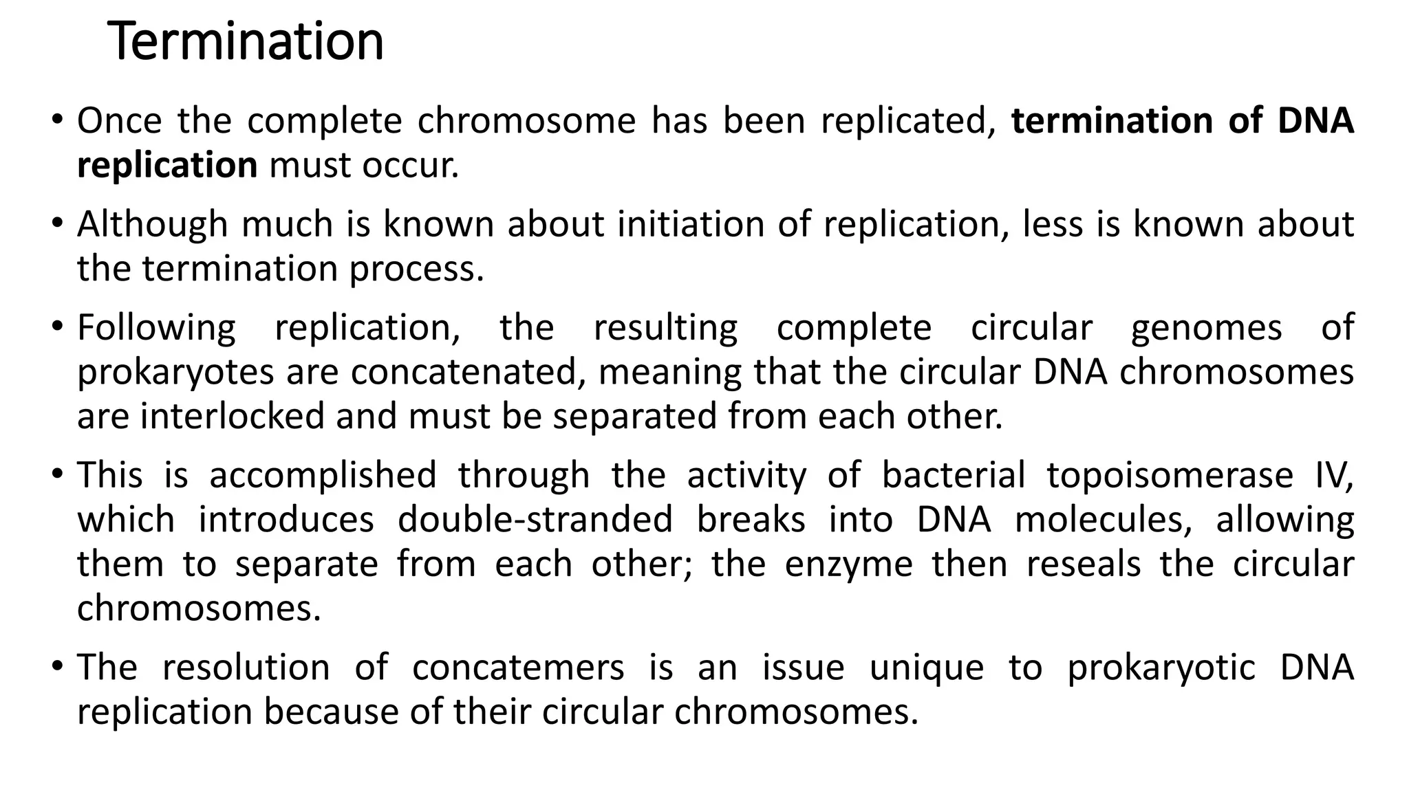 Replication in Bacteria.pptx