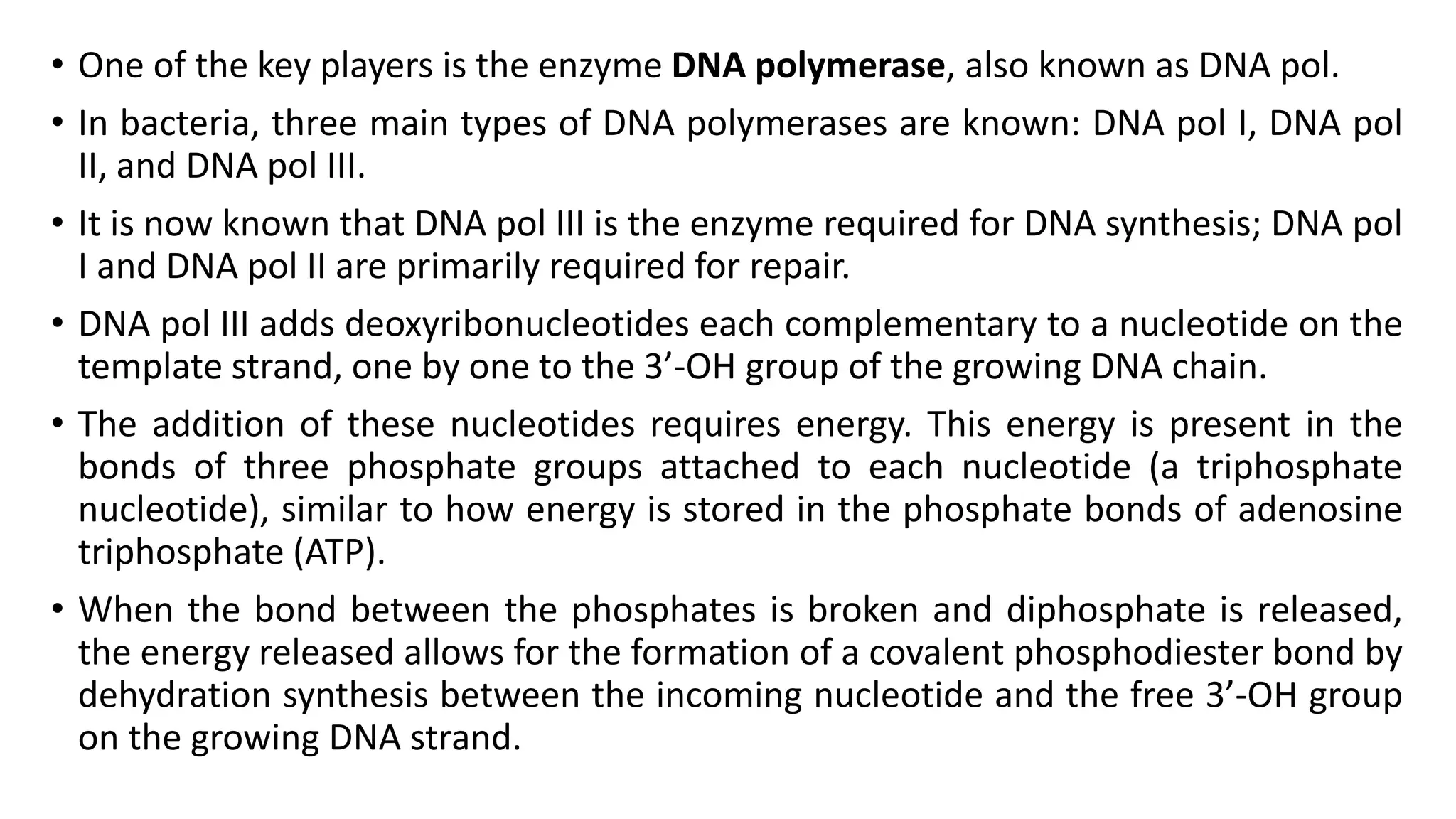Replication in Bacteria.pptx