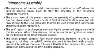Replication in Bacteria.pptx
