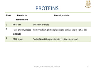 Replication in eukaryotes | PPTX
