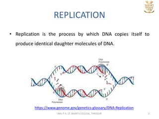 Replication in eukaryotes | PPTX