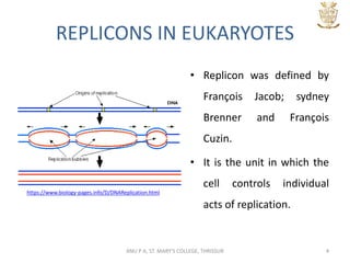 Replication in eukaryotes | PPTX