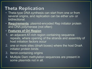 Replication in eukaryotes & plasmid | PPTX