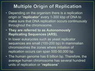 Replication in eukaryotes & plasmid | PPTX