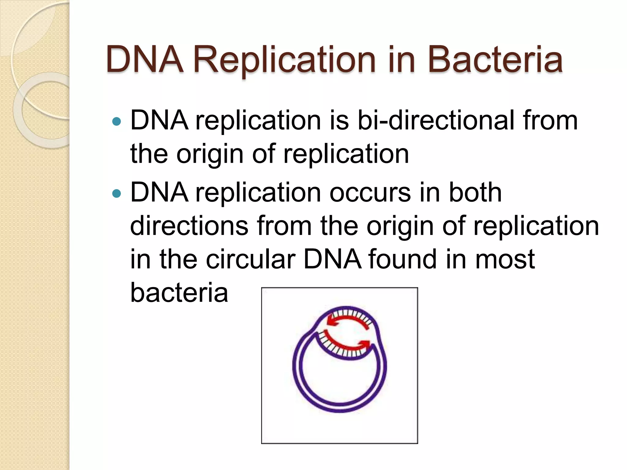 Replication in prokaryotes | PPTX