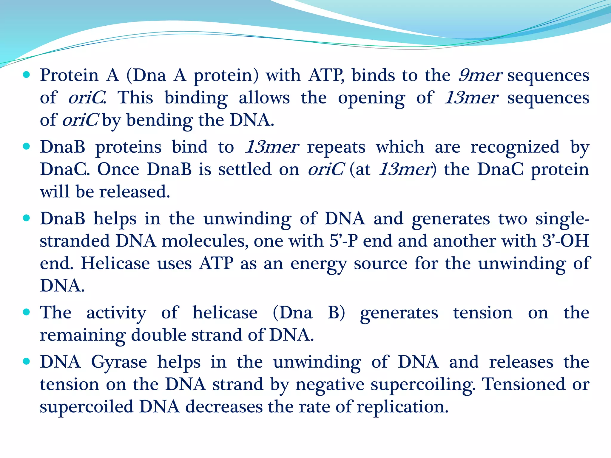 Replication in prokaryotes | PPTX