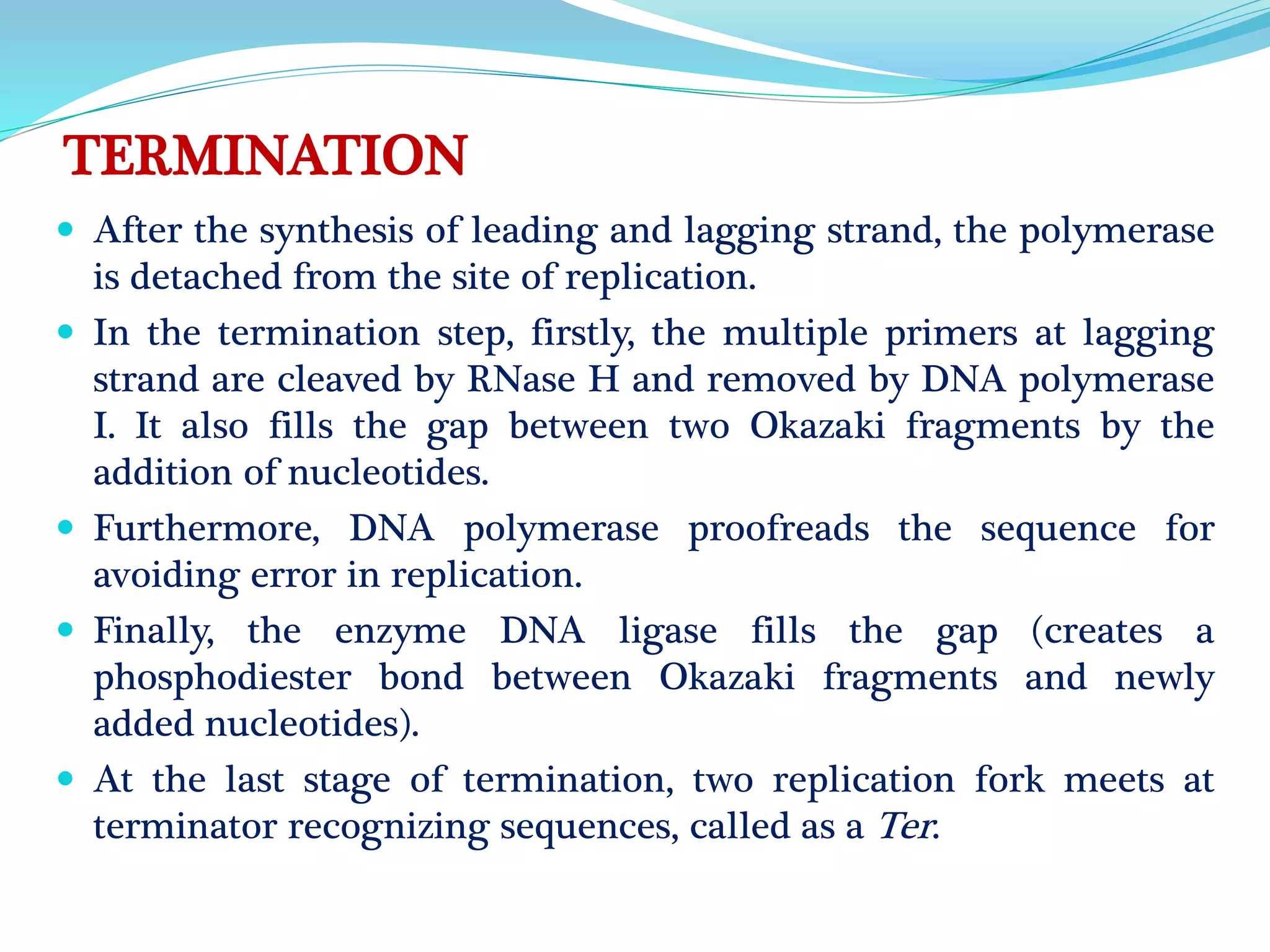 Replication in prokaryotes | PPTX