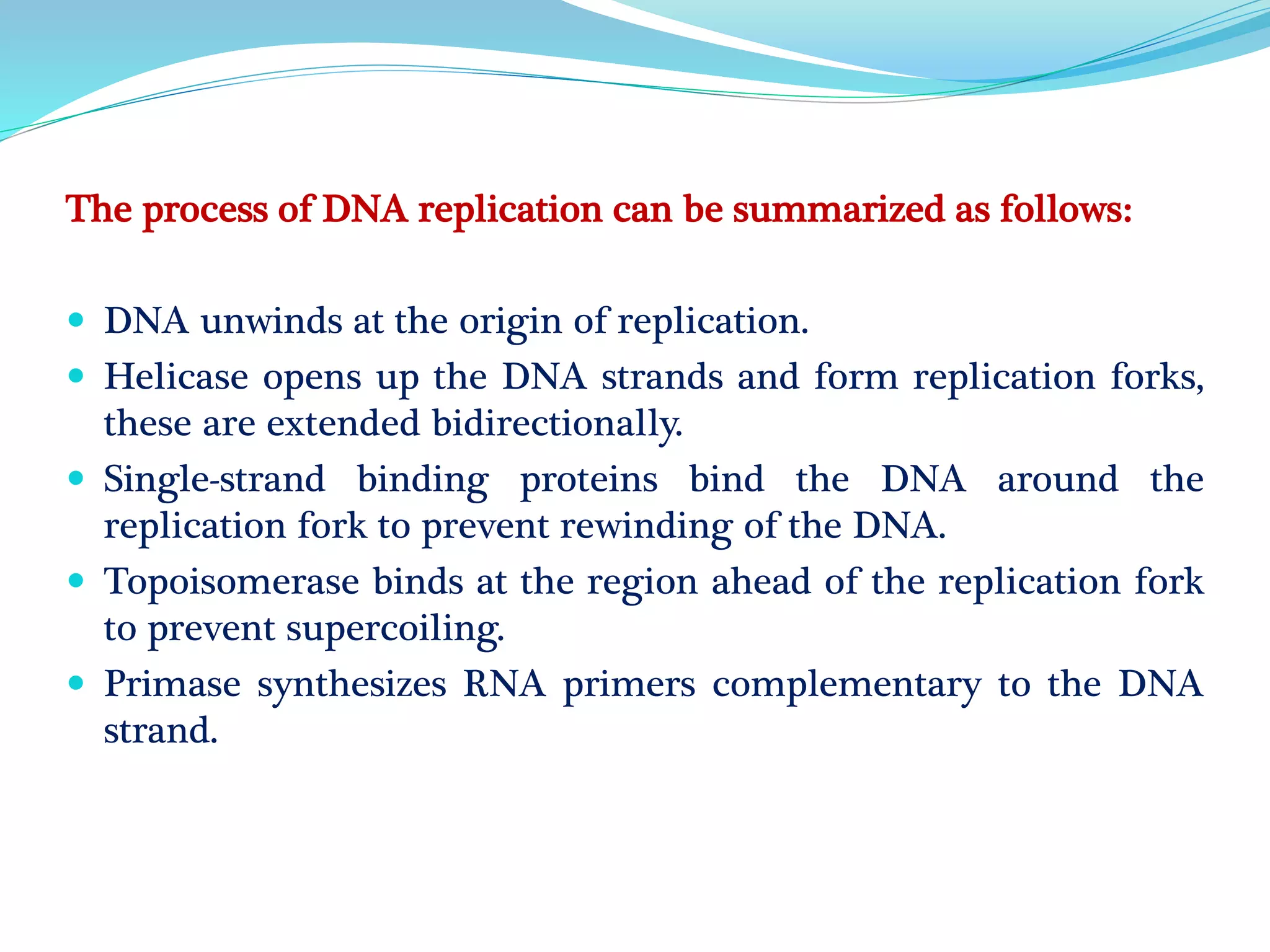 Replication in prokaryotes | PPTX