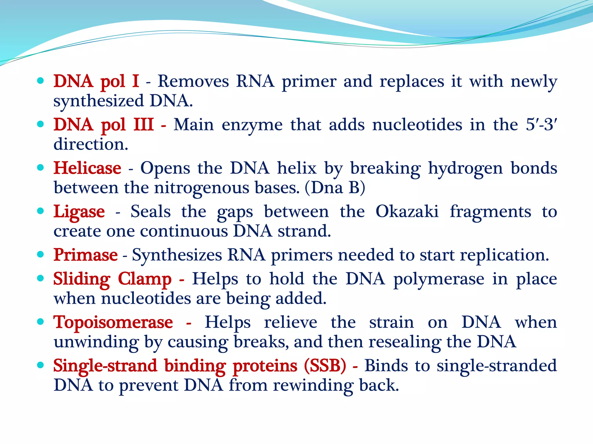 Replication in prokaryotes | PPTX